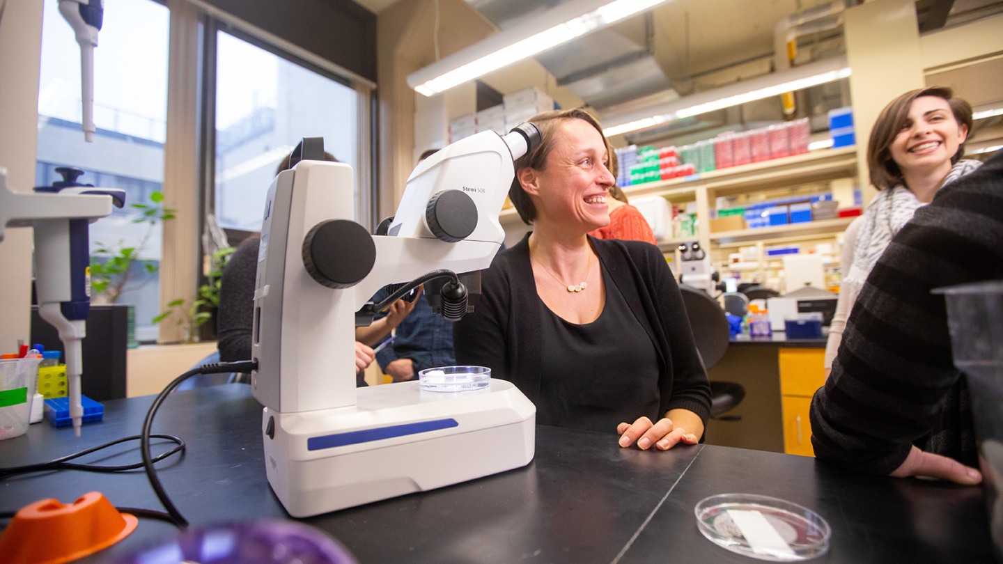 Research Areas | Pathology and Laboratory Medicine | Medical School ...
