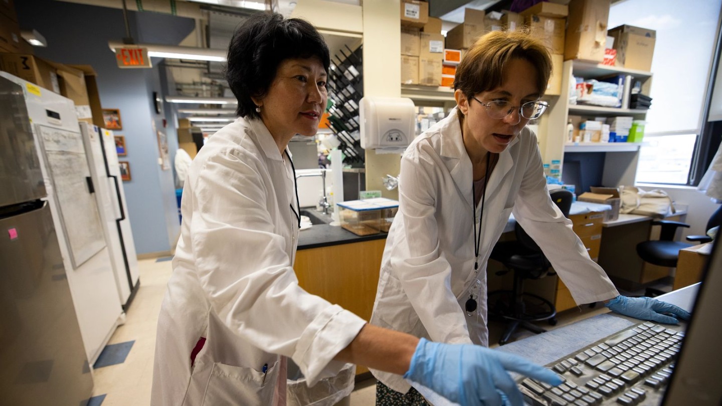 Experimental Pathology and Therapeutics Faculty | Pathology and Laboratory Medicine | Medical ...