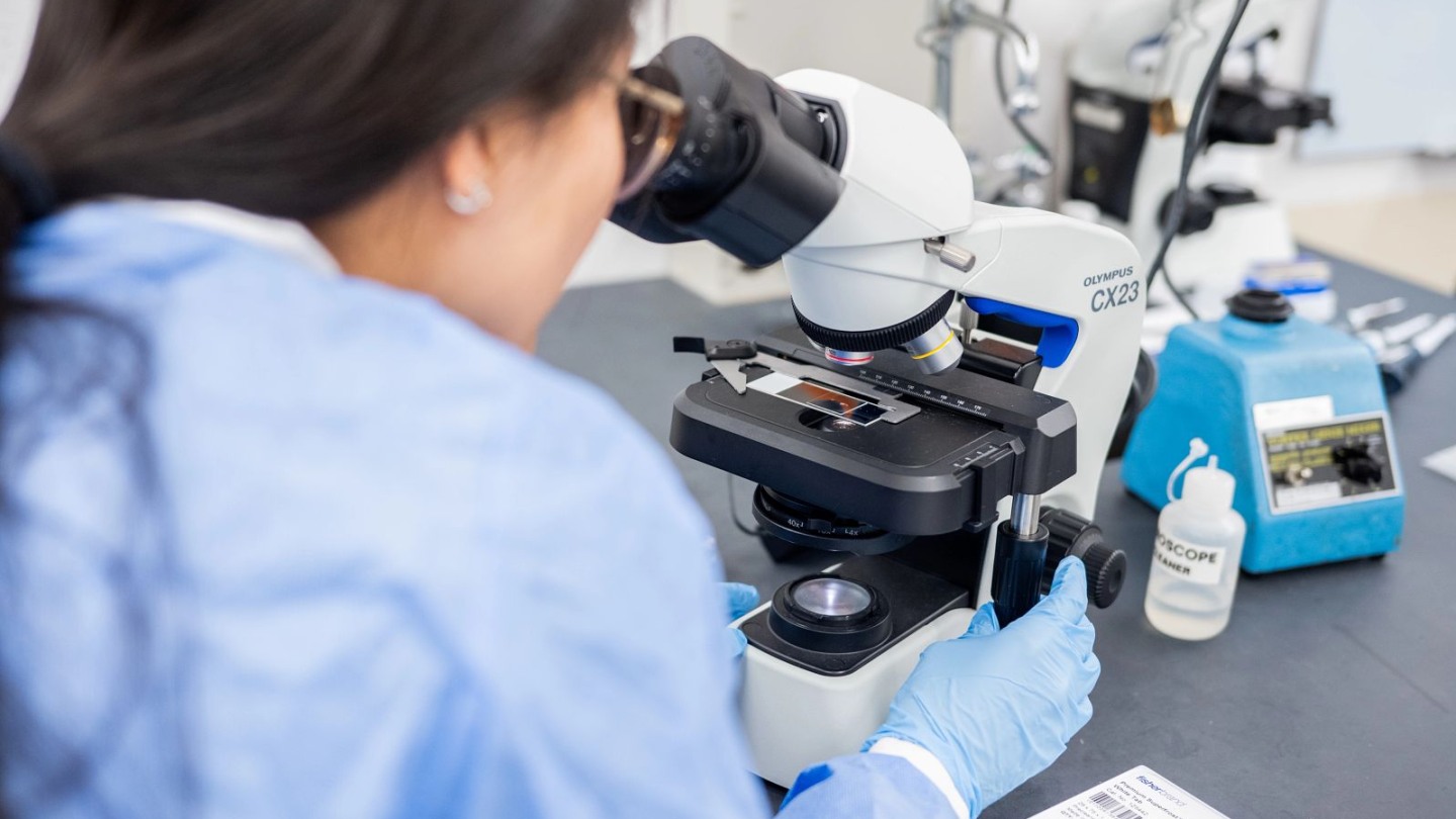 Undergraduate Education | Pathology and Laboratory Medicine | Medical ...