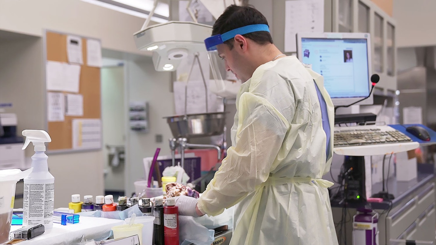 Anatomic Pathology Faculty | Pathology and Laboratory Medicine ...