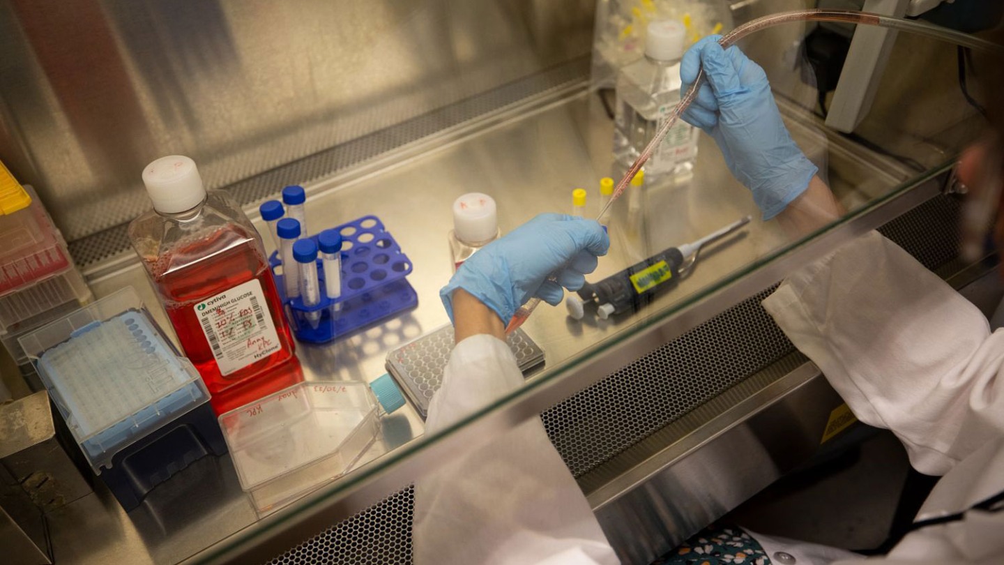 Core Facilities | Pathology and Laboratory Medicine | Medical School ...