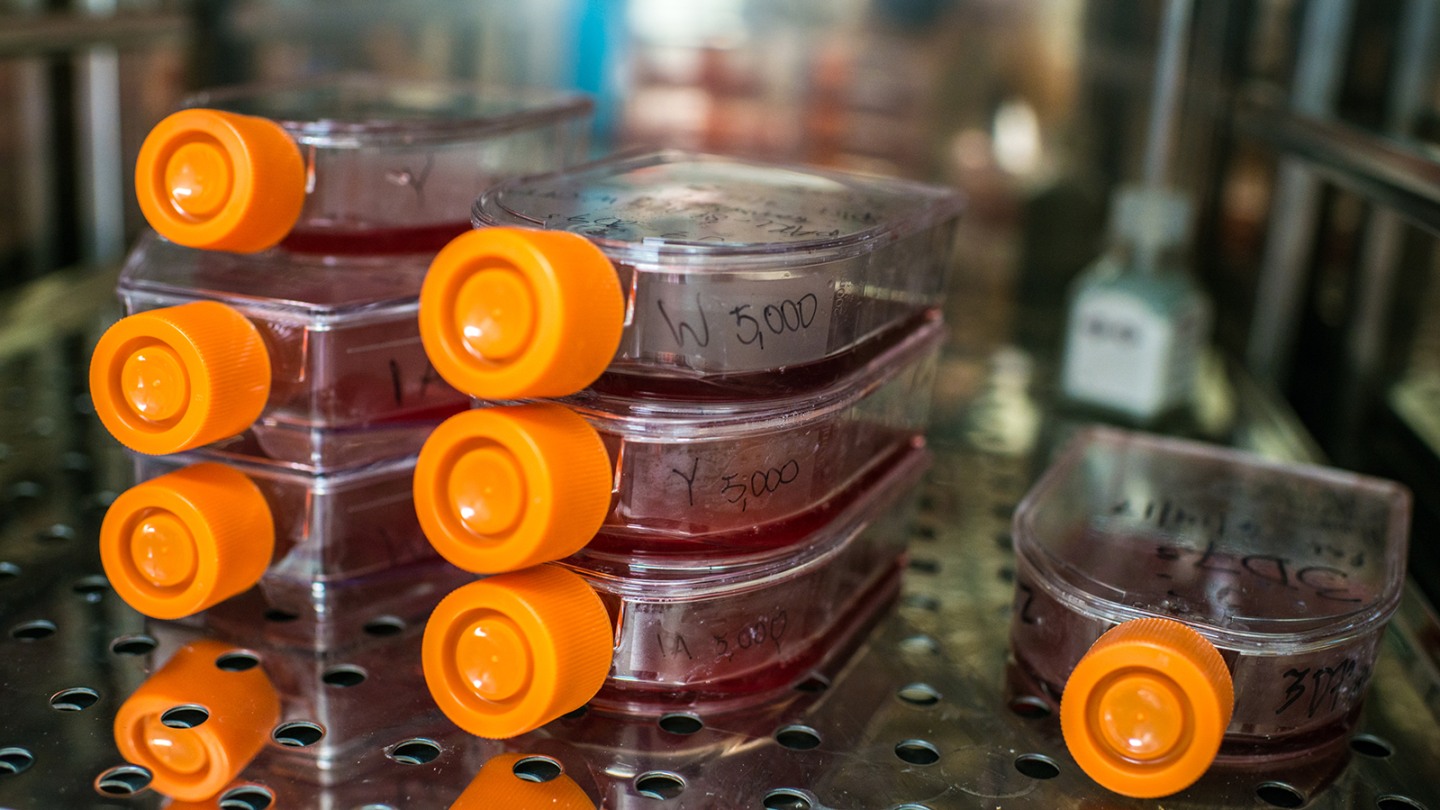 Contact Us | Pathology and Laboratory Medicine | Medical School | Brown University